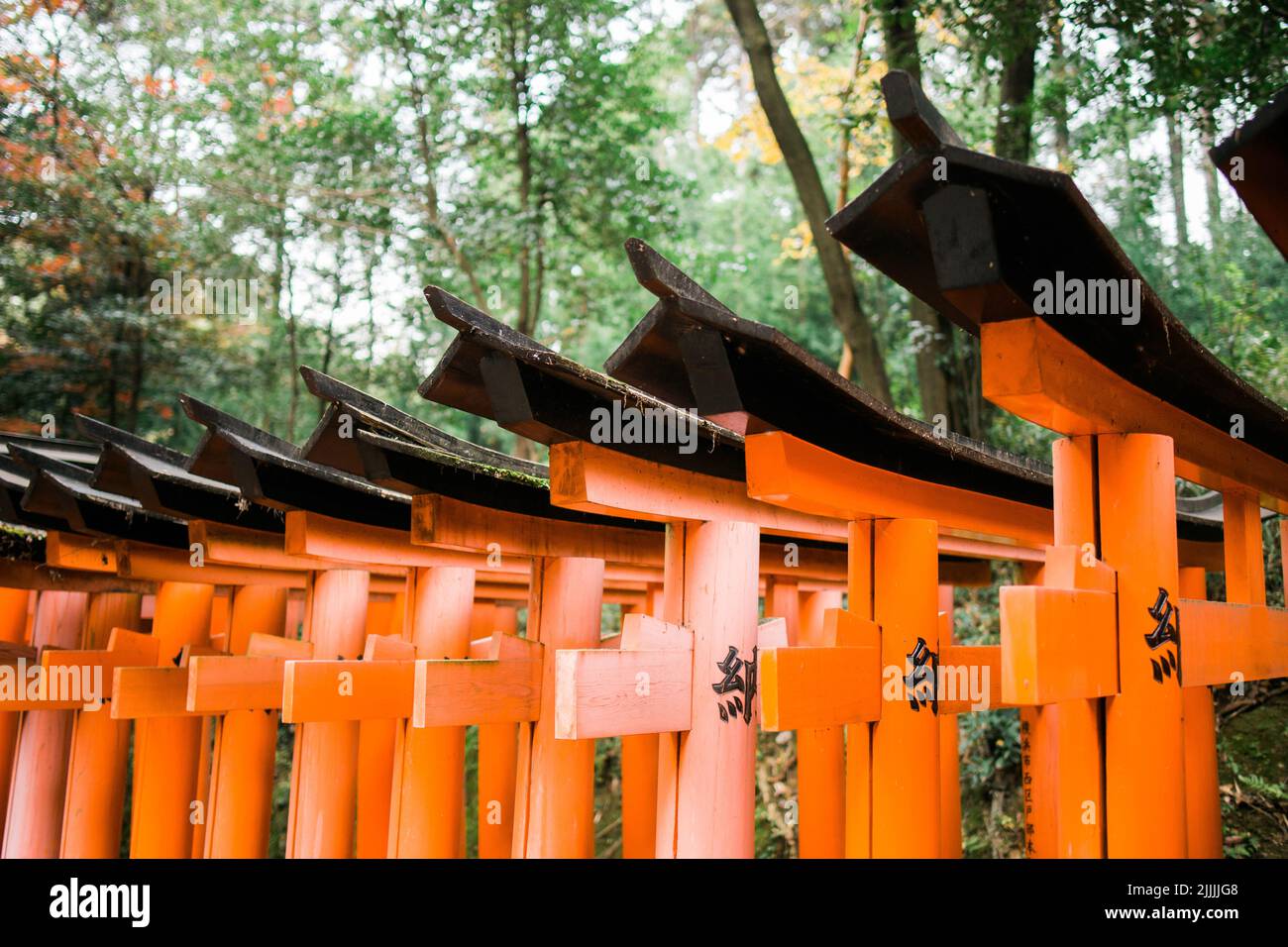 Traditional Japanese temple gates Stock Photo - Alamy