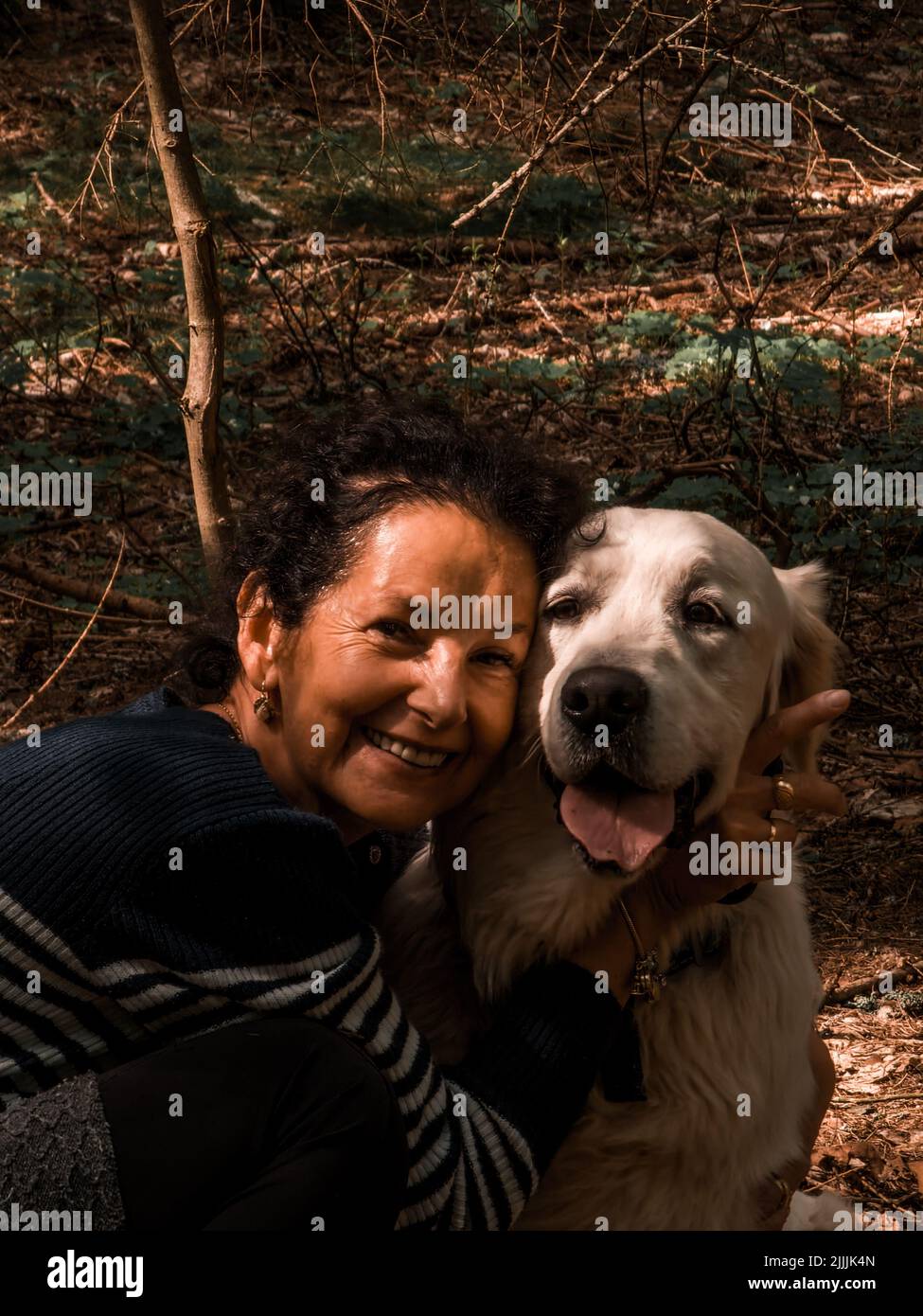 Happy owner cute golden hi-res stock photography and images - Alamy