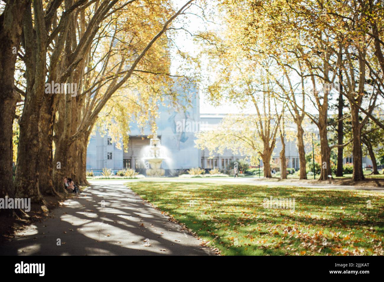 Beautiful golden hour at the park Stock Photo - Alamy