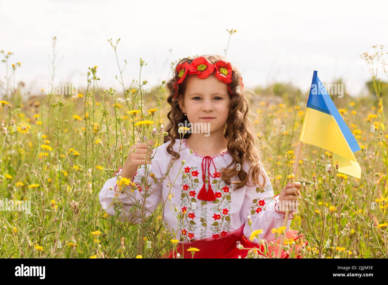 Little girl in Ukrainian folk costume in the field with the Ukrainian ...