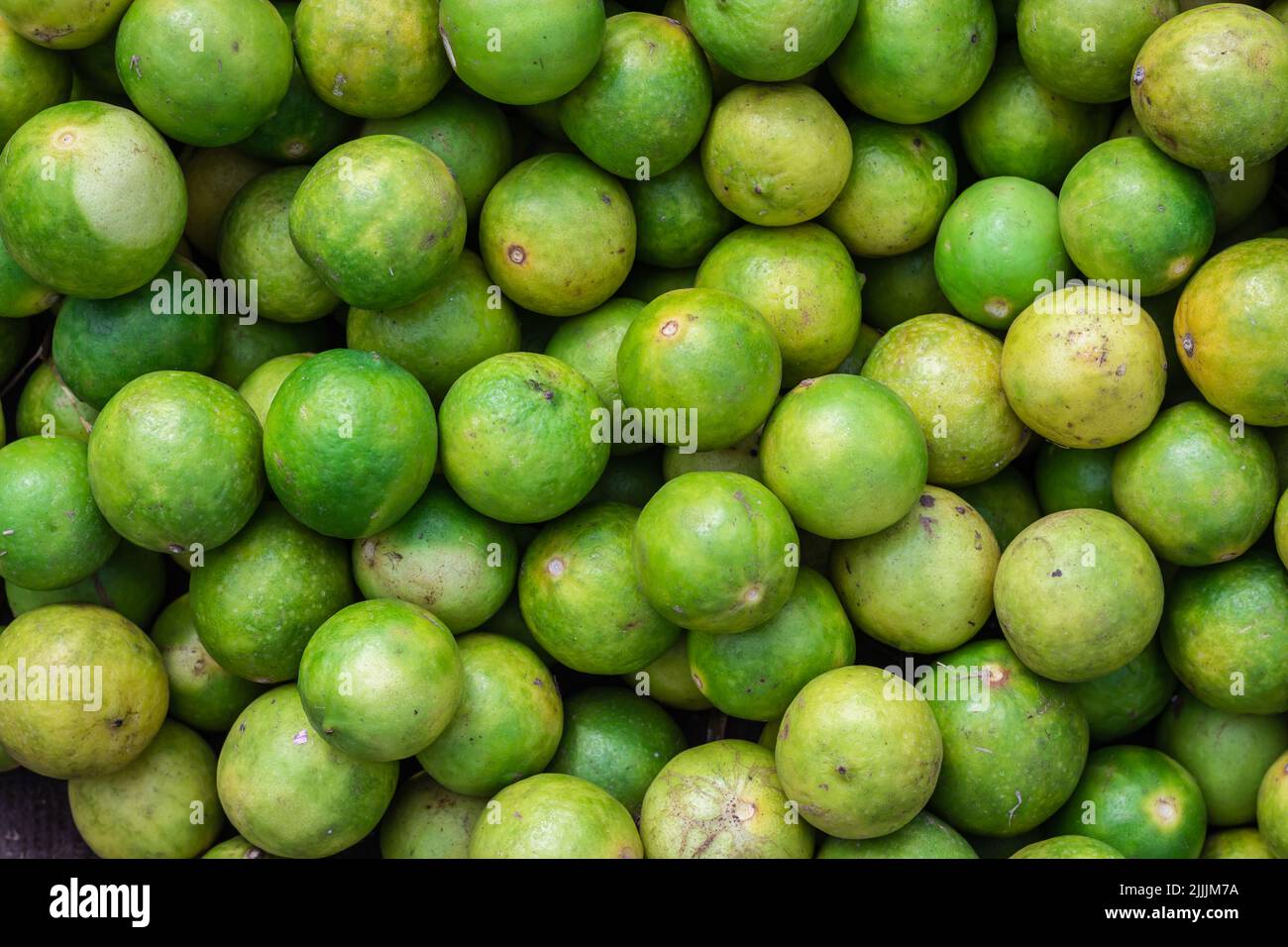 fresh organic lemons from farm close up from different angle Stock ...