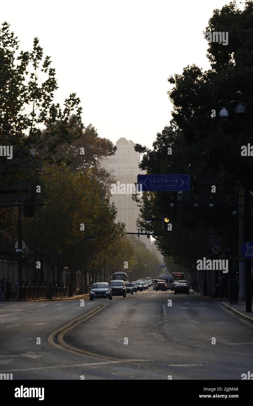 A view of a traffic road with cars and green trees during sunset Stock ...