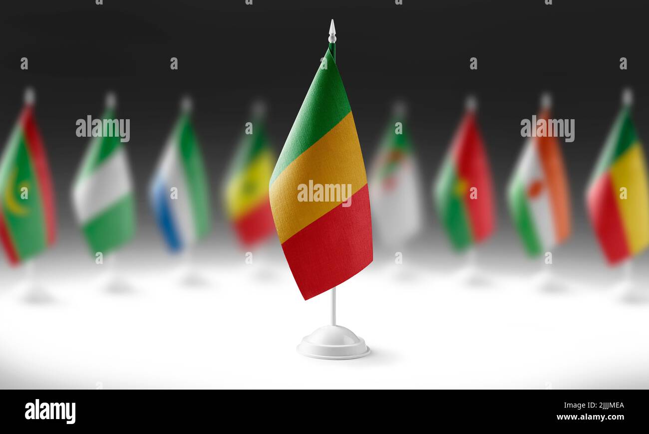 The national flag of the Mali on the background of flags of other ...