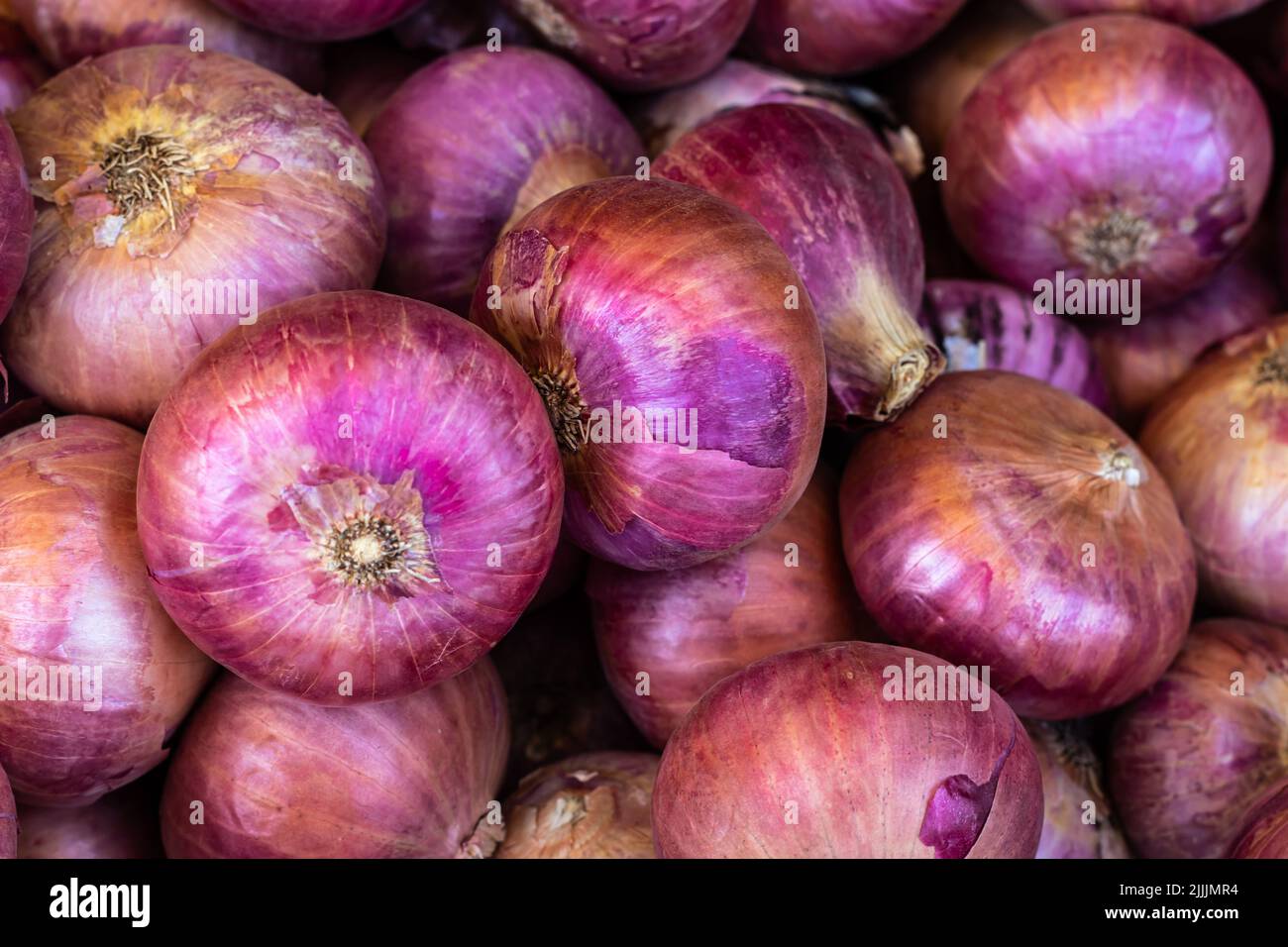 fresh organic onion from farm close up from different angle Stock Photo ...