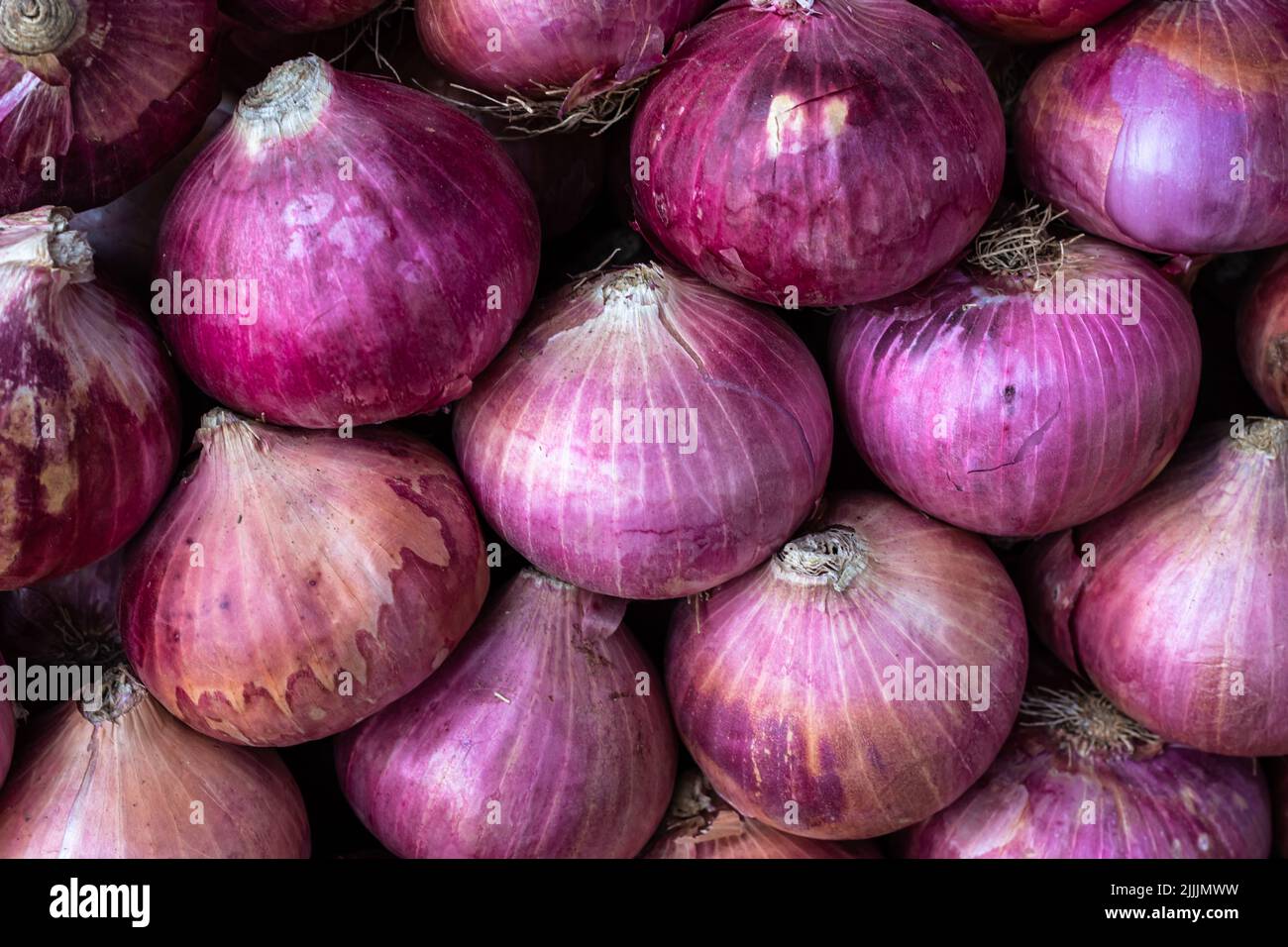 fresh organic onion from farm close up from different angle Stock Photo ...