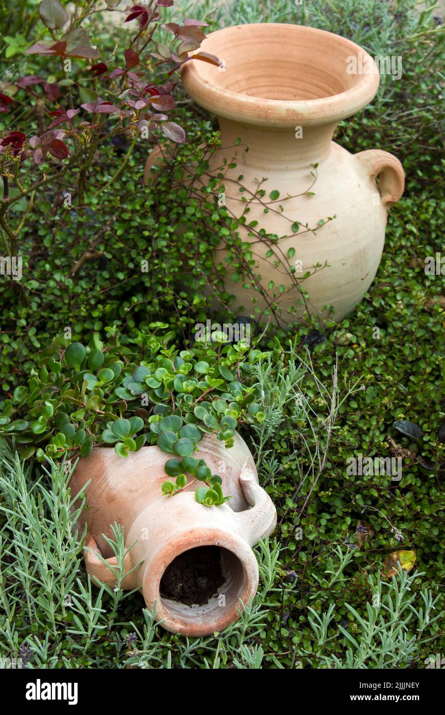 flowerbed in the garden - plants in a clay pot Stock Photo - Alamy