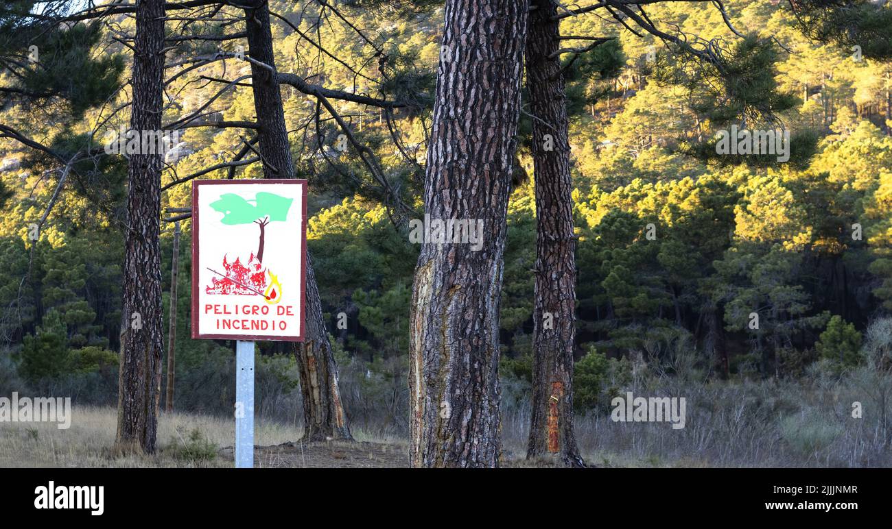 A forest sign with a red flame, a lit match with green trees indicating ...