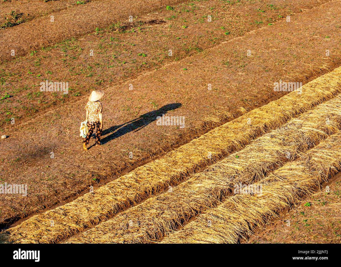 Walking across crop fields hi-res stock photography and images - Alamy