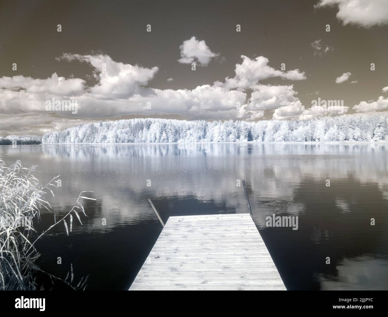 infrared surreal landscape, lake with wooden footbridge, infrared photo ...