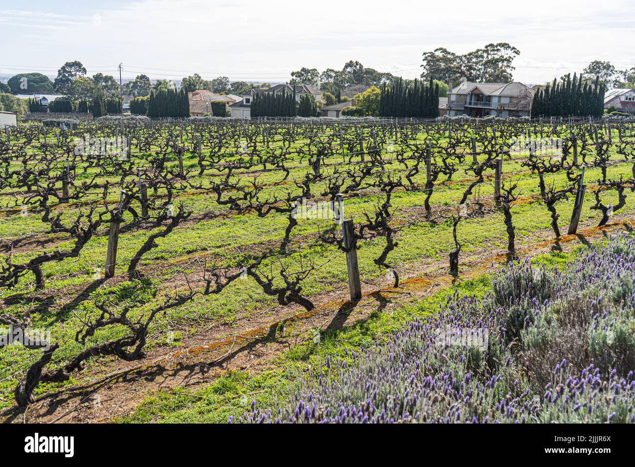 Christopher rawson penfold hi-res stock photography and images - Alamy