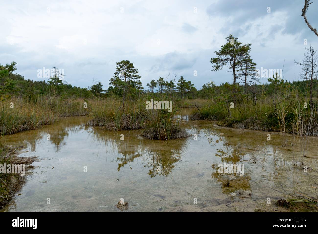 landscape with Sulfur Pond, which are water llamas formed on the ...