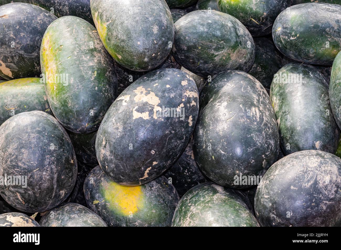 fresh organic watermelons from farm close up from different angle Stock ...