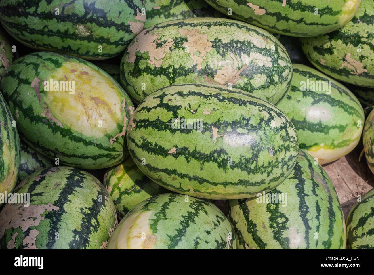 Rock melon hi-res stock photography and images - Alamy