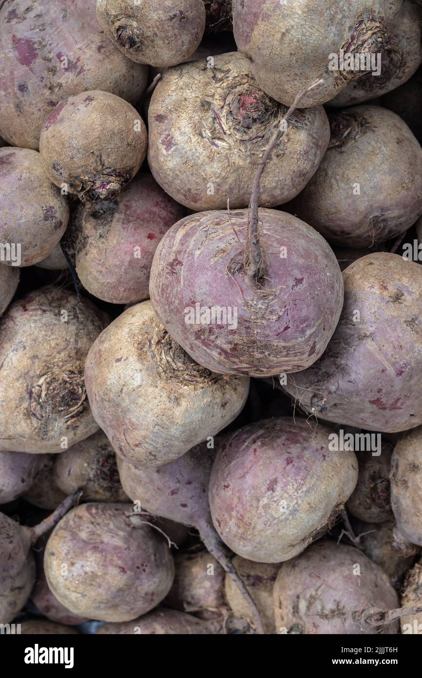 fresh organic beetroot from farm close up from different angle Stock ...