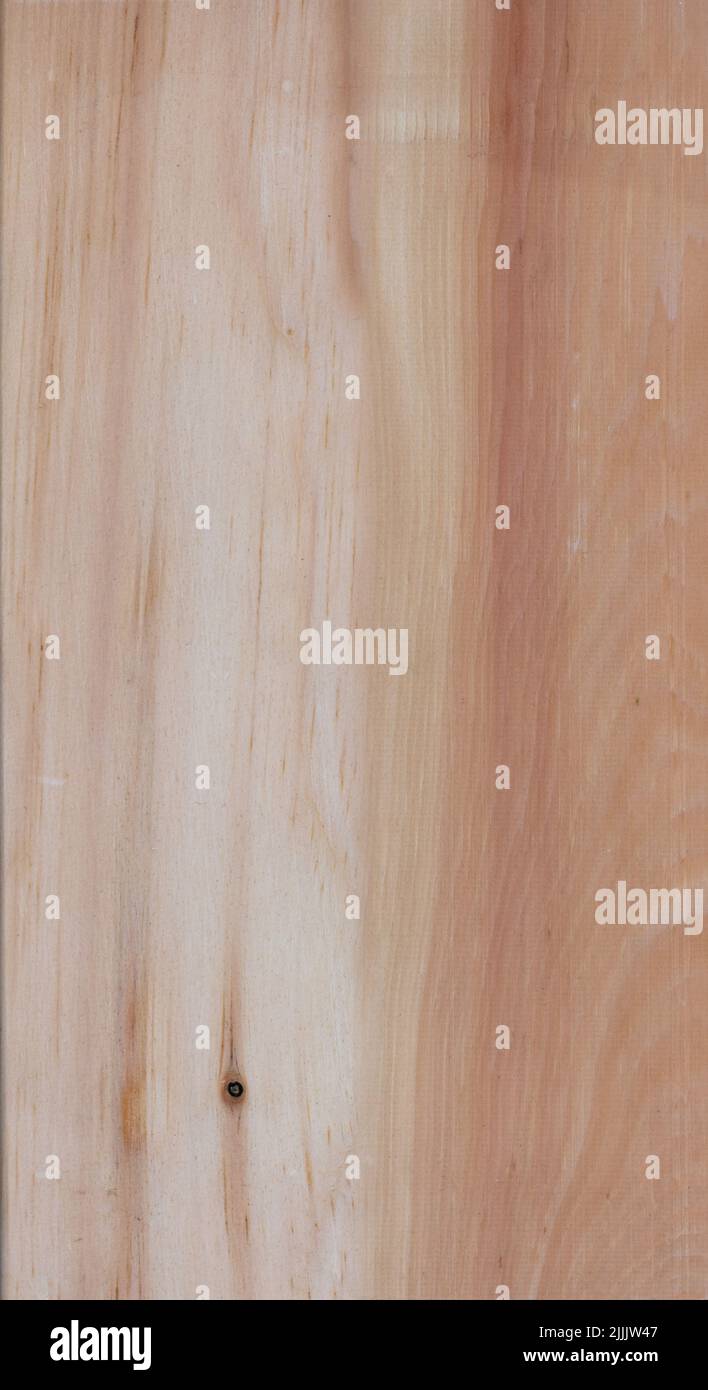 Pine massive texture or background Stock Photo - Alamy