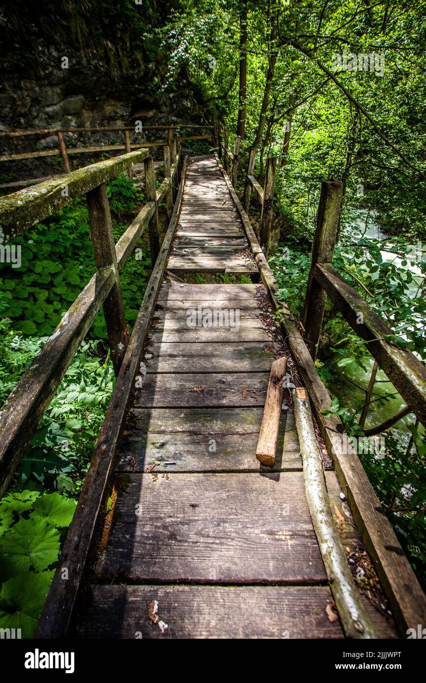 An old broken wooden bridge over the river in a dense forest Stock ...
