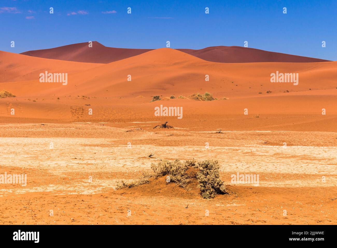 Sossusvlei is a salt and clay pan surrounded by high sand dunes ...