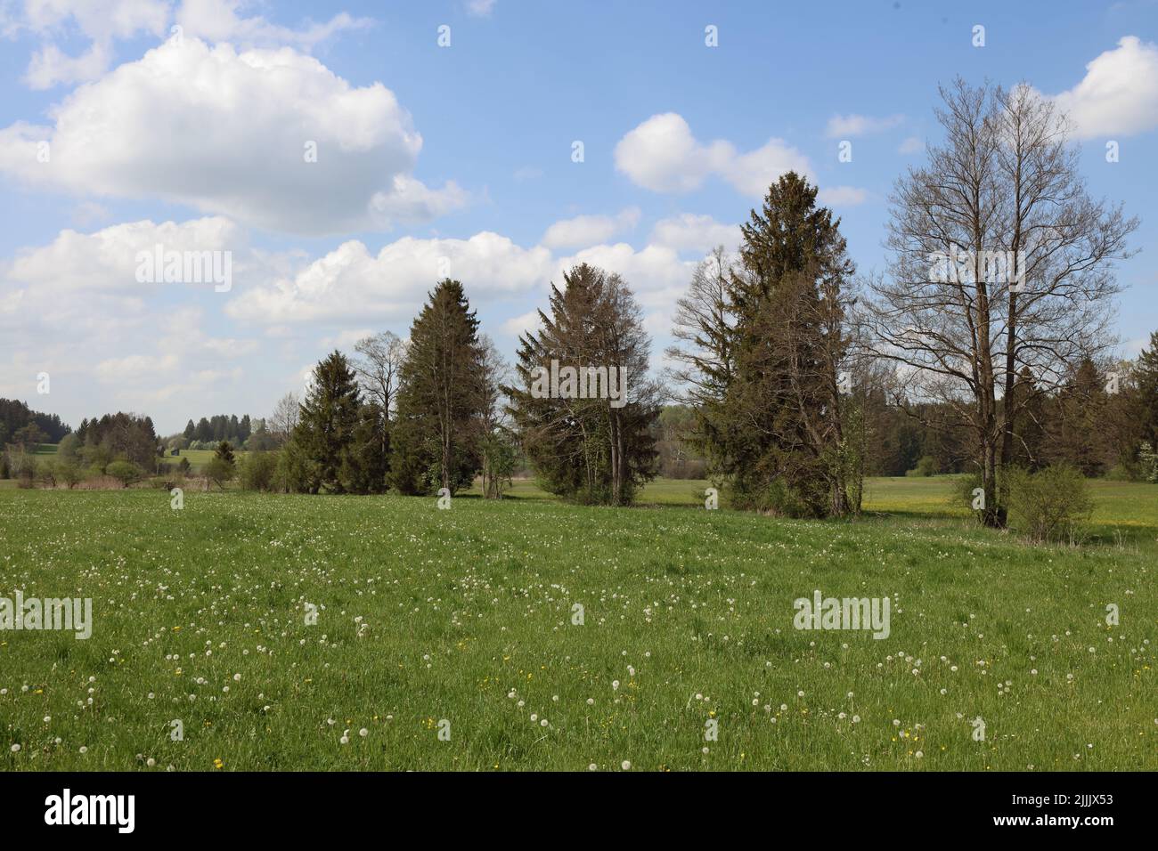 Landschaft Bayern - Oberbayern / Landscape Bavaria - Upper Bavaria ...