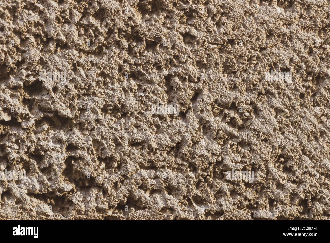 A Porous cement wall texture Stock Photo - Alamy