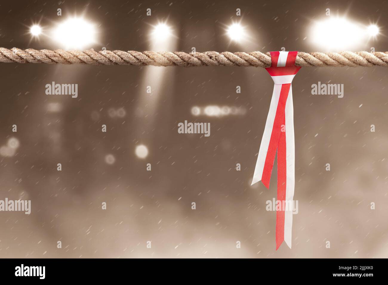 Spotlights Red Flag at Susan Villanueva blog