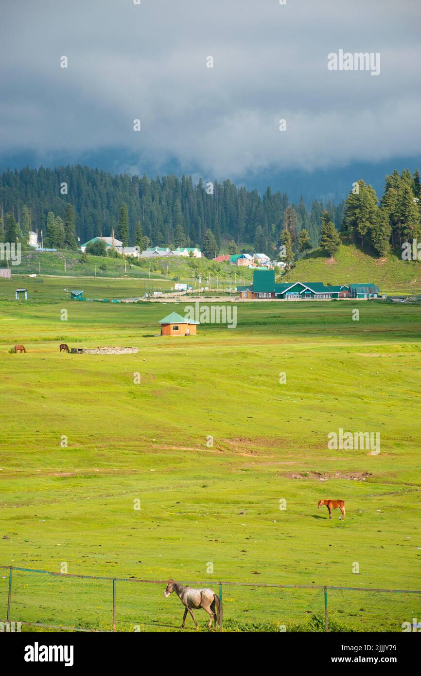 Summer season, Gulmarg is a town, a hill station, a popular tourist and ...