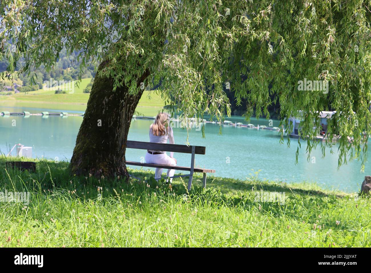 hydroelectric power plant. green energy is produced just with a ...