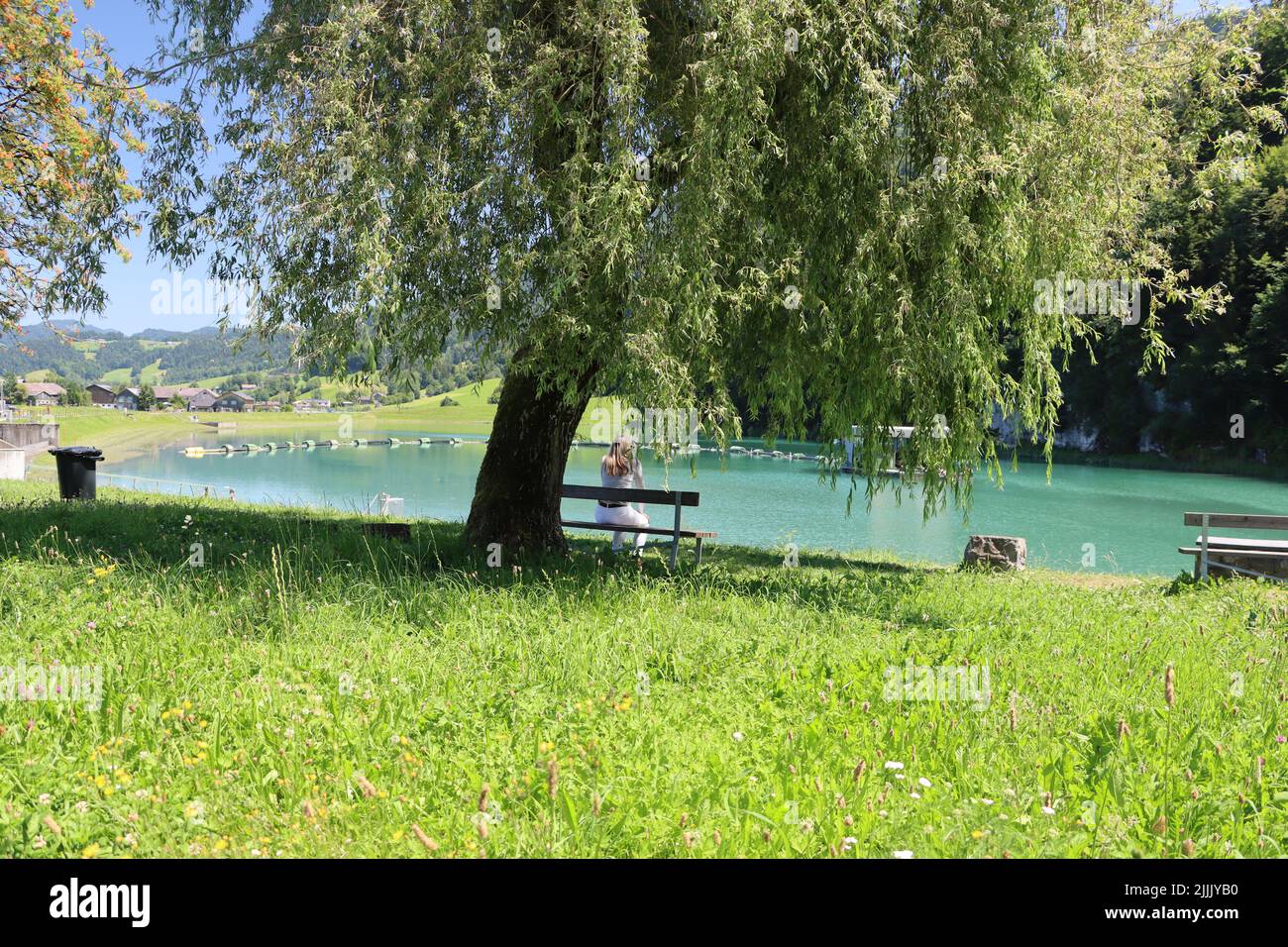 hydroelectric power plant. green energy is produced just with a ...