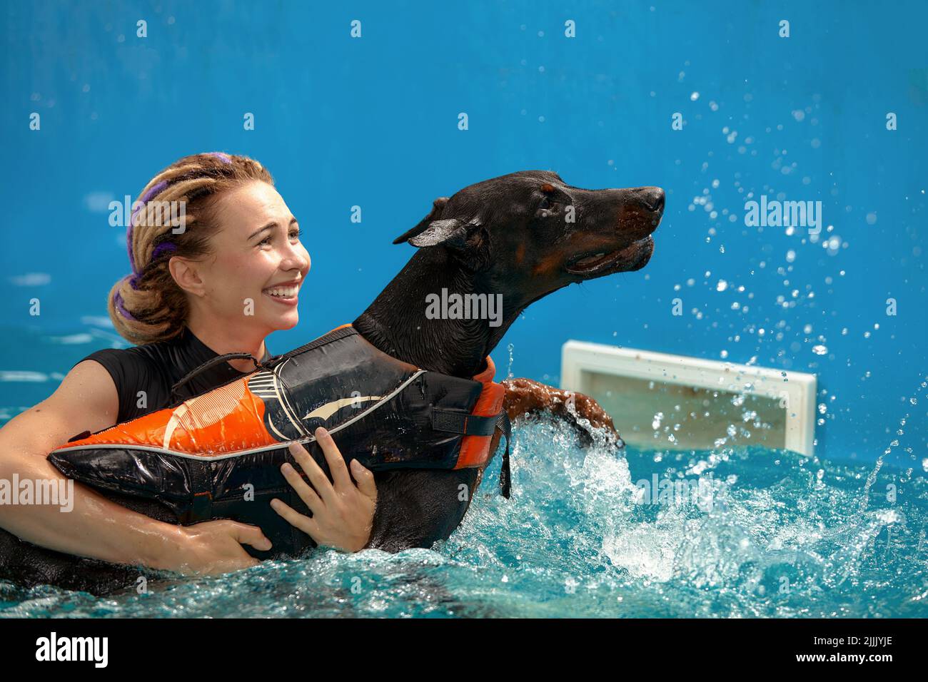 Dog in life jacket swim in the swimming pool with coach. Pet rehabilitation. Recovery training ...