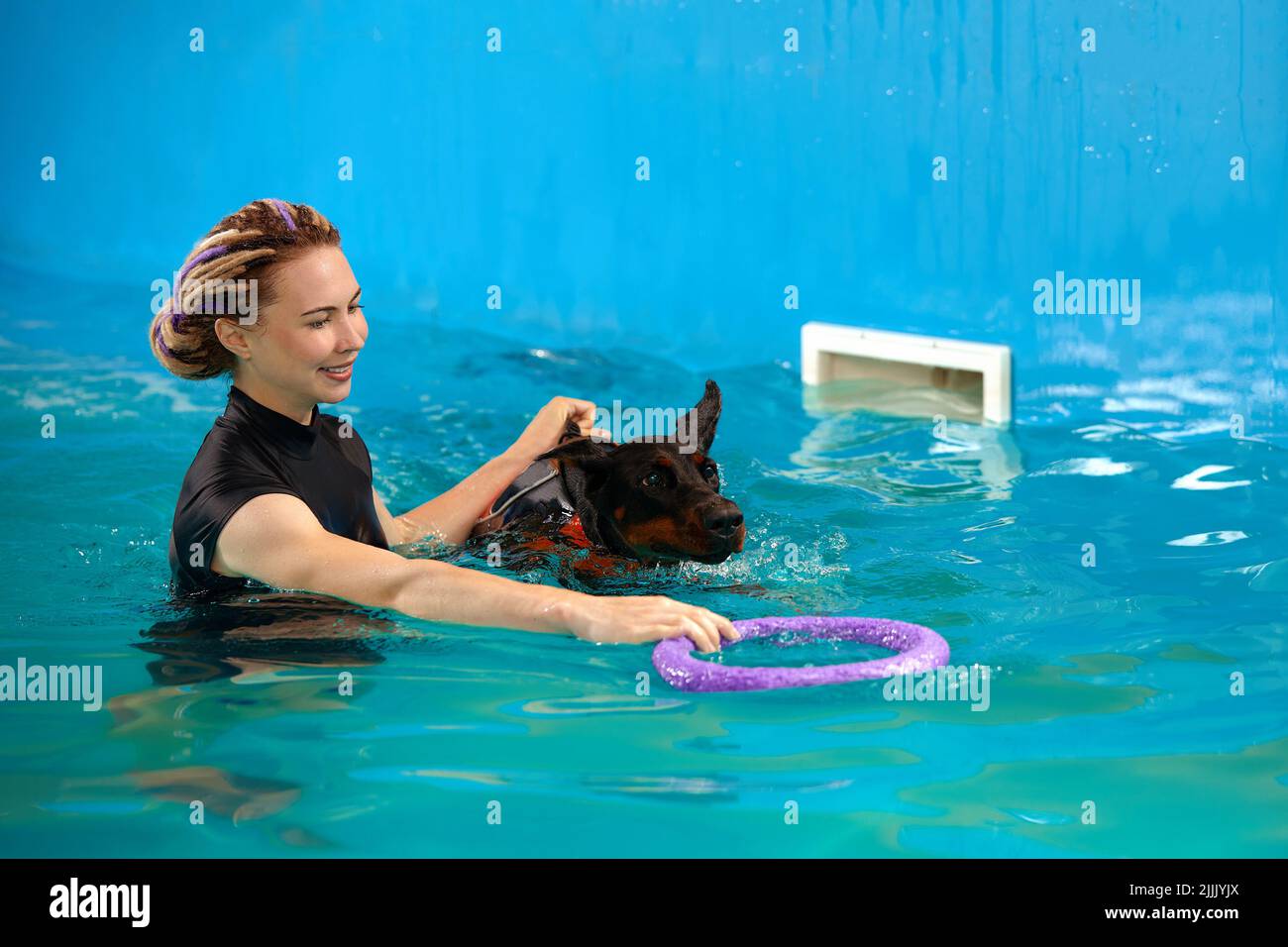 Dog in life jacket swim in the swimming pool with coach. Pet rehabilitation. Recovery training ...