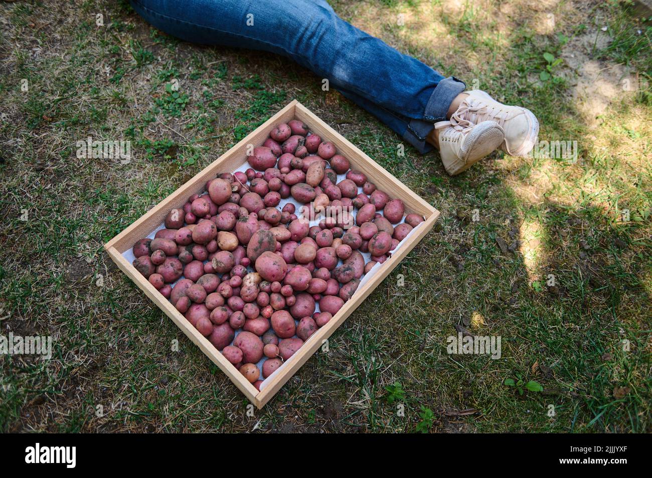 Top view. Legs of a farmer, resting on the backyard of a countryside ...