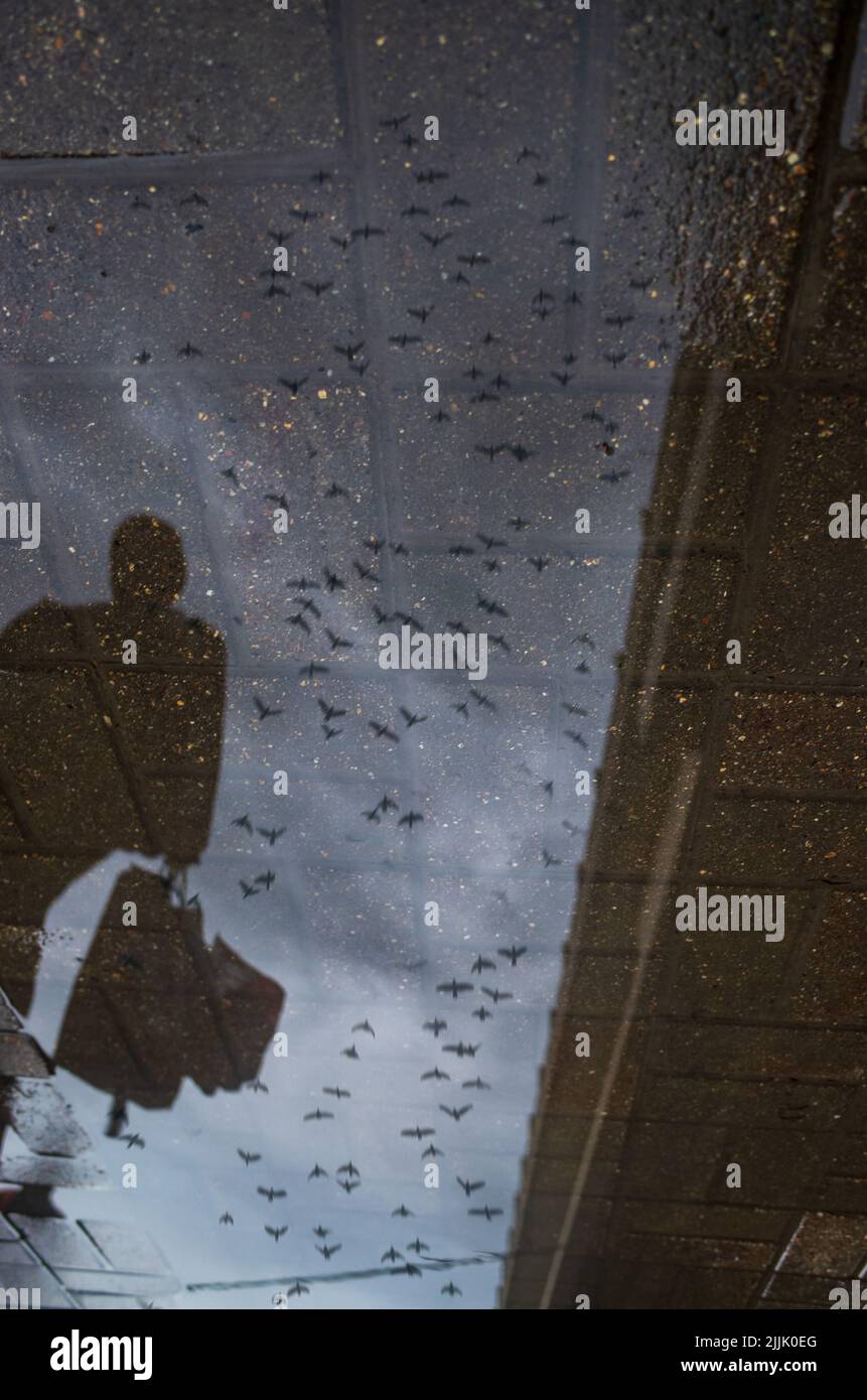 Blurred silhouette of reflection of one person walking alone on wet ...
