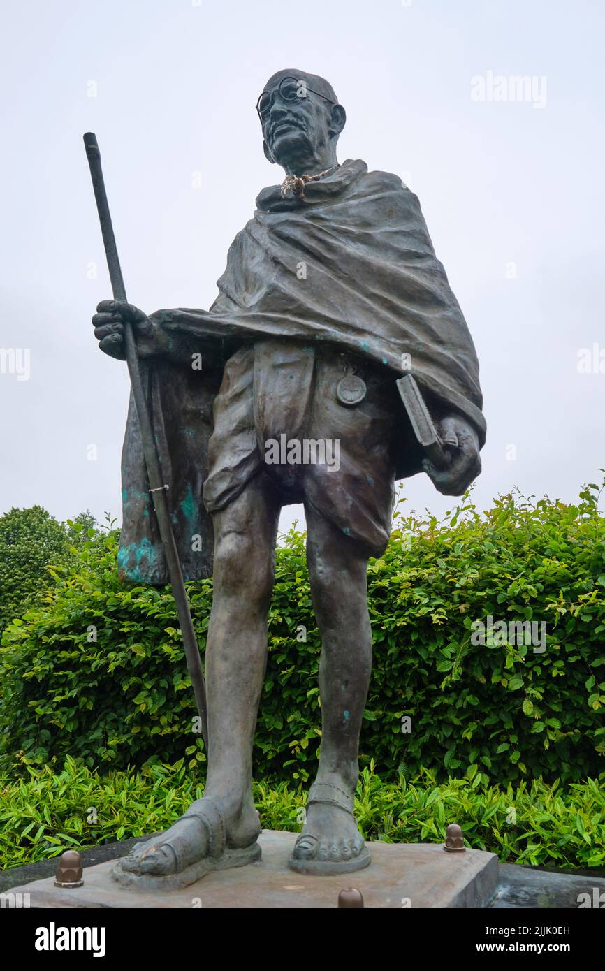 A bronze statue of the Indian independence leader, Mahatma Gandhi. In ...