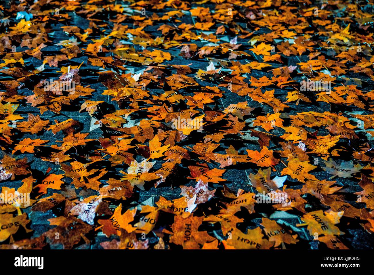 Artist peter walker's work entitled hope, ahead of the opening of his ...