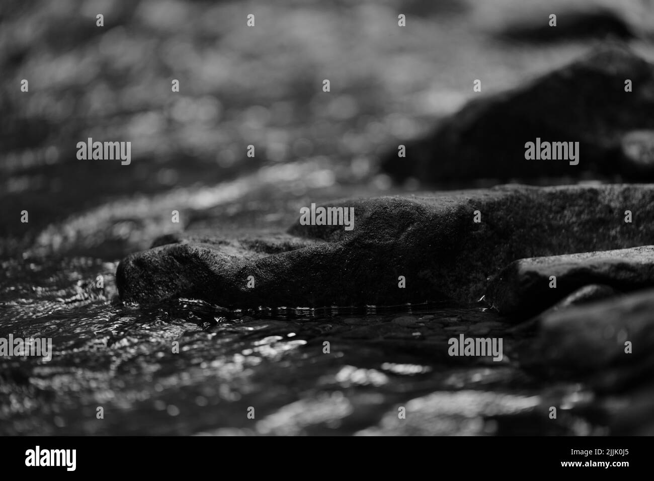The close-up grayscale of the fabrics on the wet floor - monochrome ...