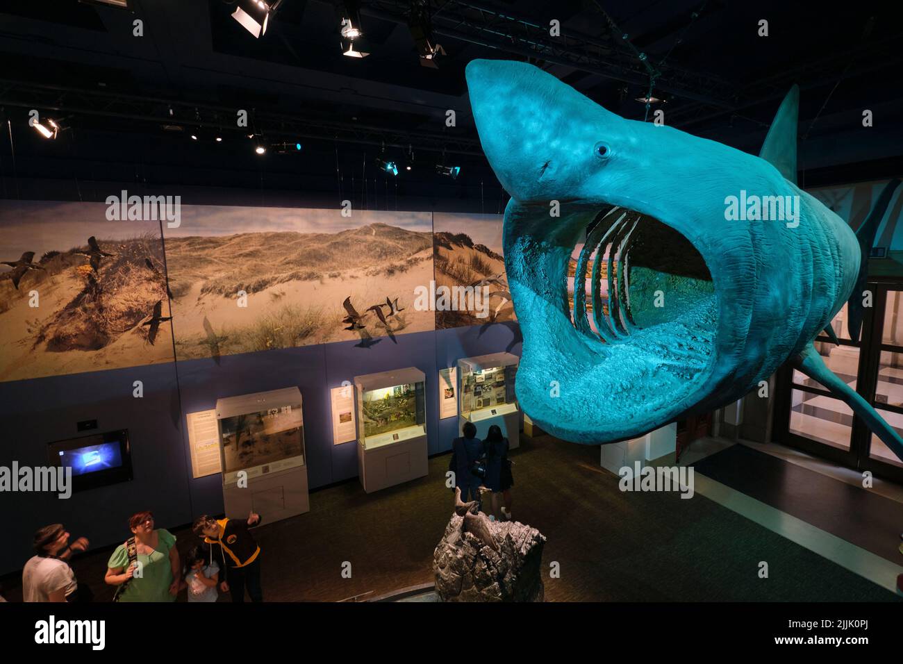 Nature display, including a giant shark with an open mouth. At the ...