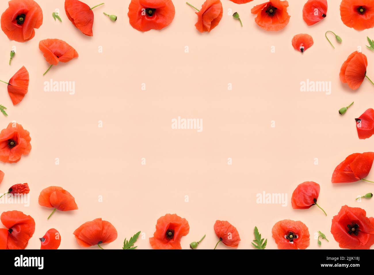 Red Flower Top Border