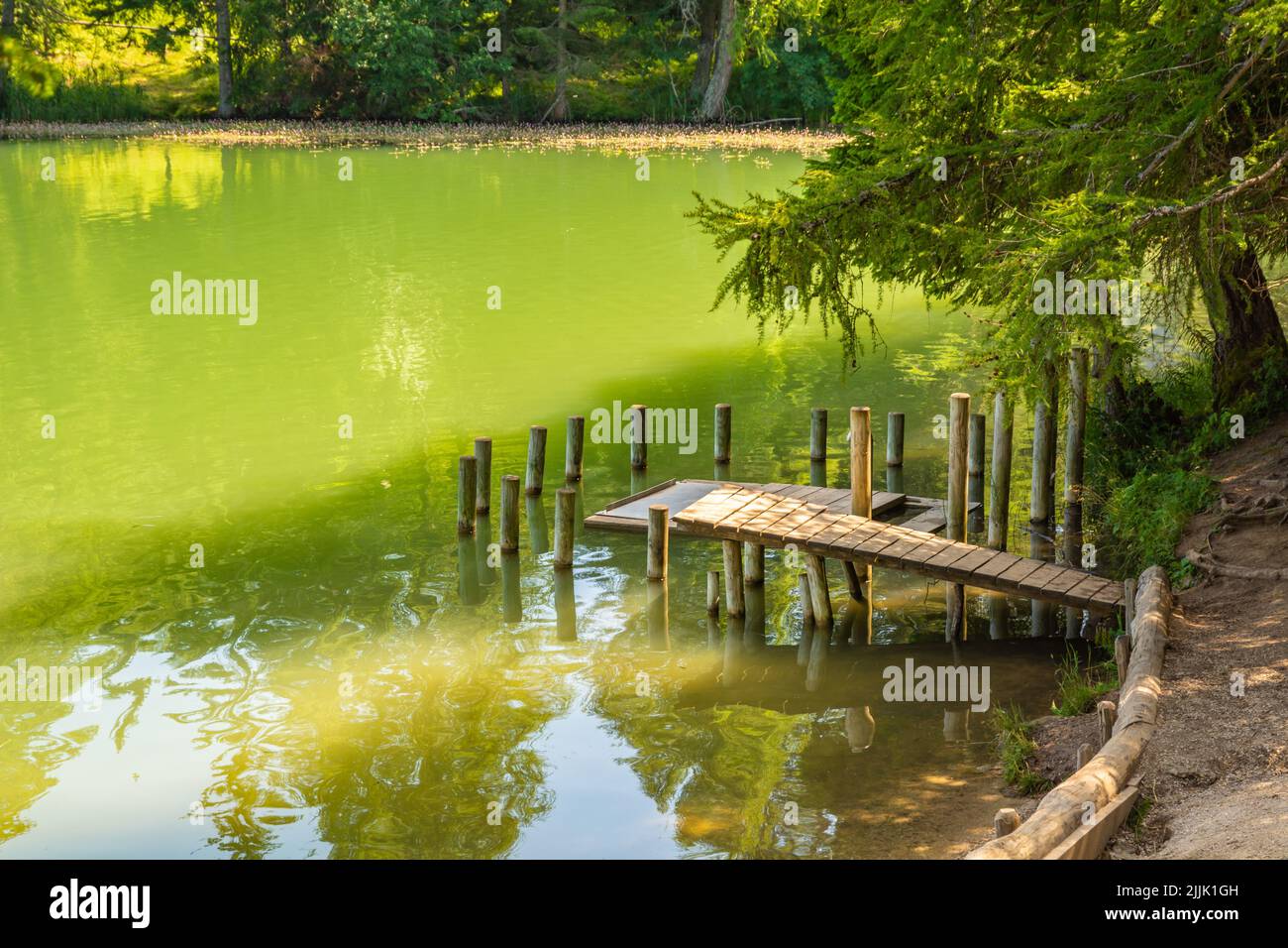 Lake Tret is among the most beautiful forest lakes of South Tyrol ...