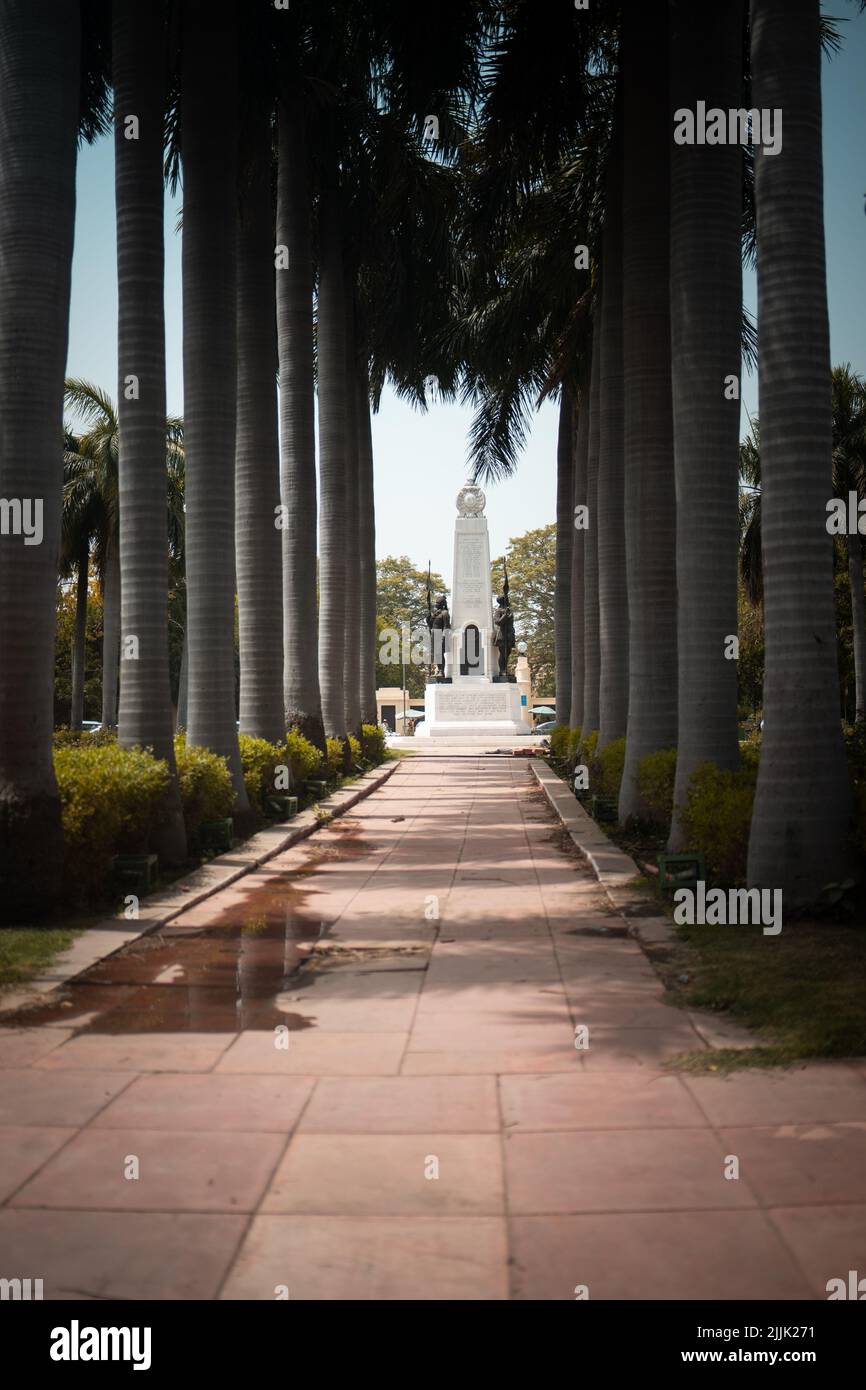 A vertical shot of footpath surrounded by growing tall trees in ...