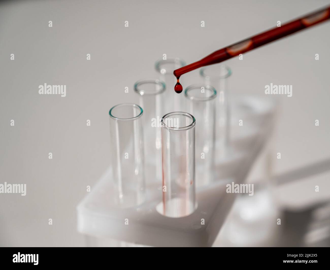 Close-up of a laboratory assistant dripping blood from a pipette into a ...