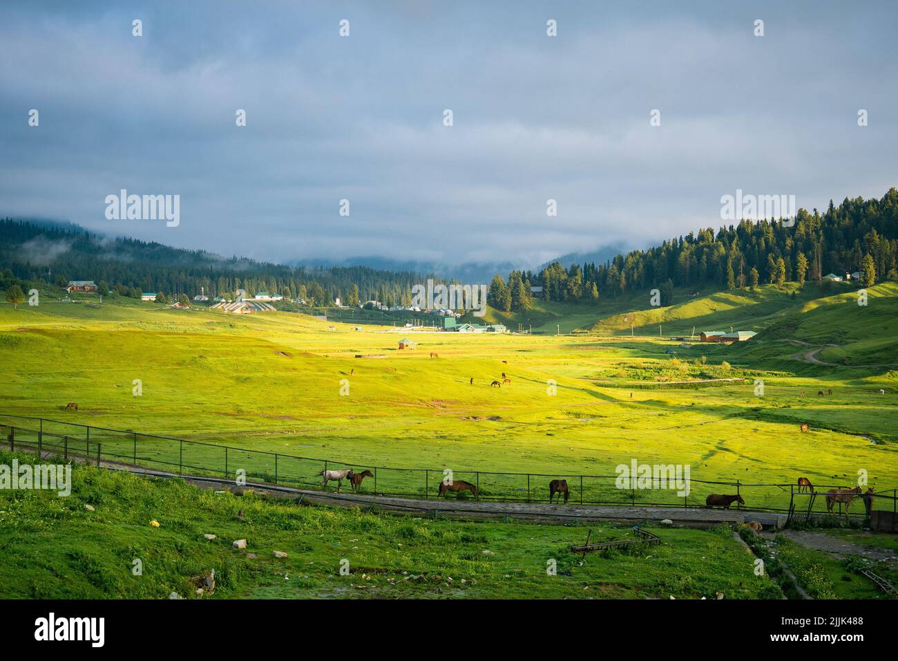 Landscape in the summer, Gulmarg, Jammu and Kashmir, India Stock Photo ...