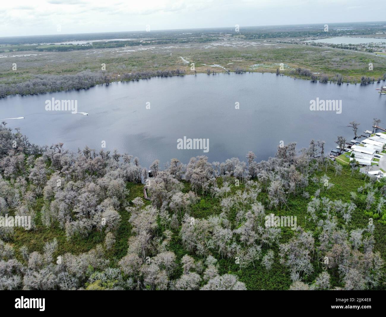 A high angle shot of a lake surrounded by green grass and leafless ...