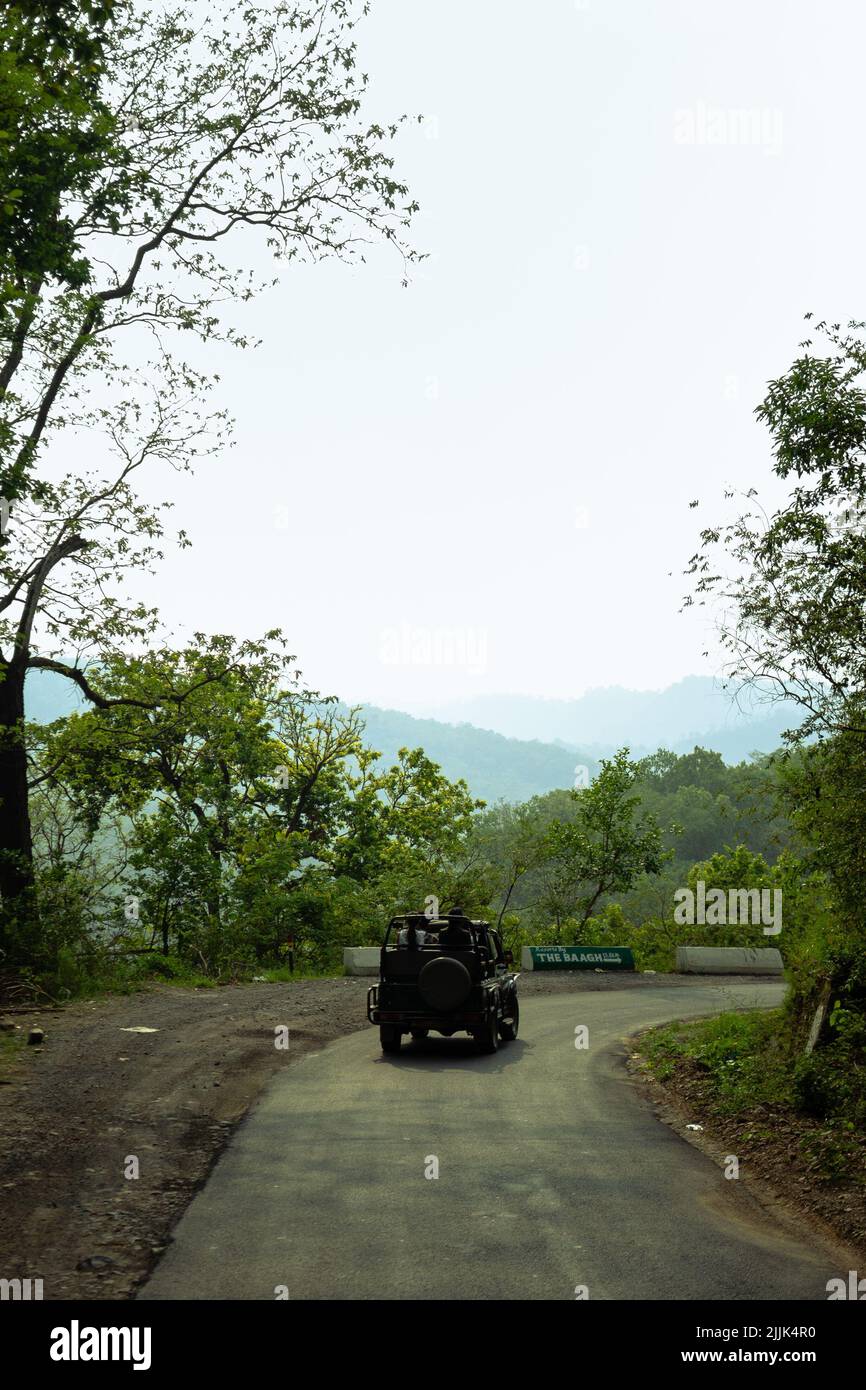 A back view of Safari Jeep driving on mountain road surrounded by trees ...