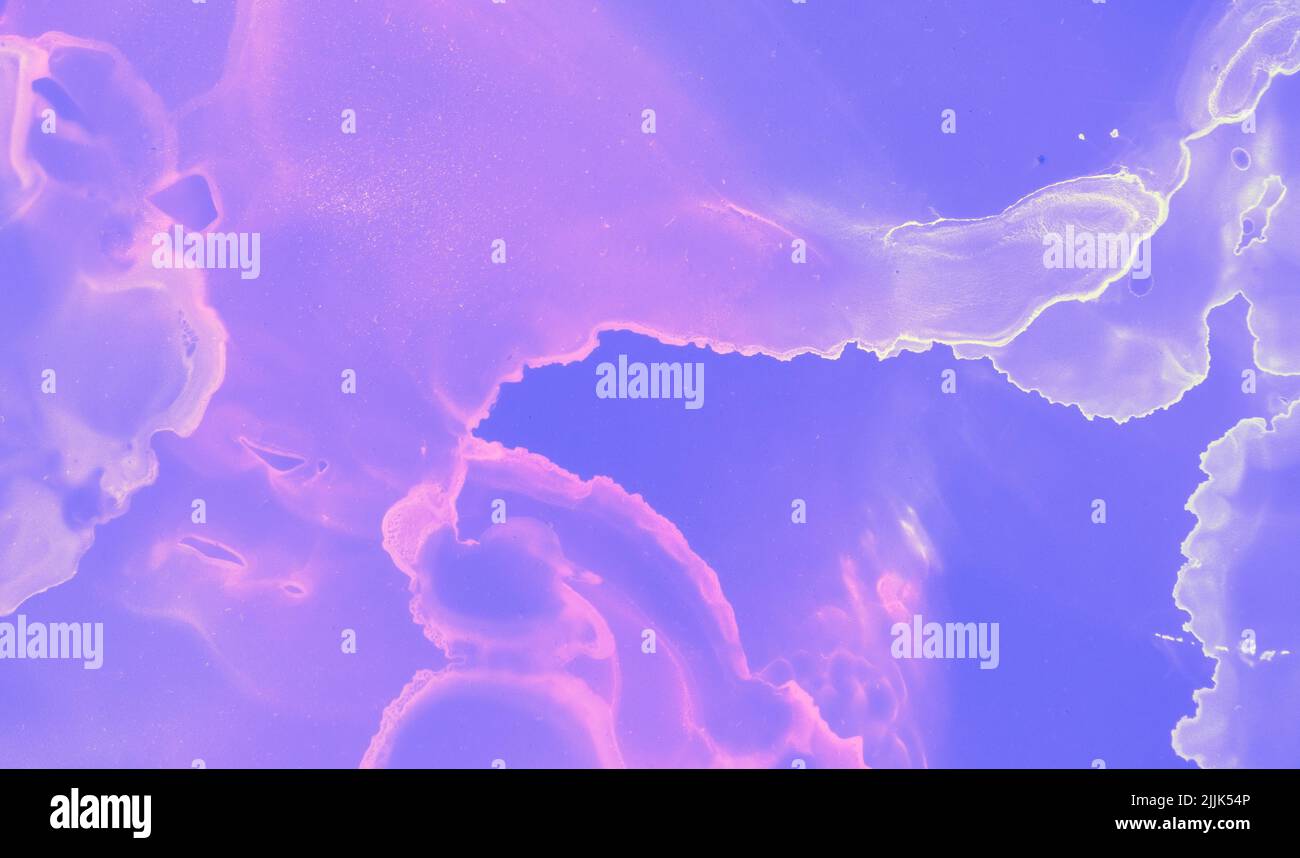 Abstract Fluid Illustration. Pink Contemporary Digital Poster. Bright ...