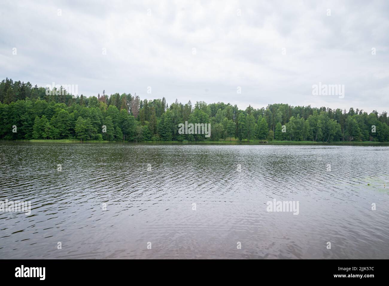 Lakeside blue water and trees in the distance blue sky with white ...