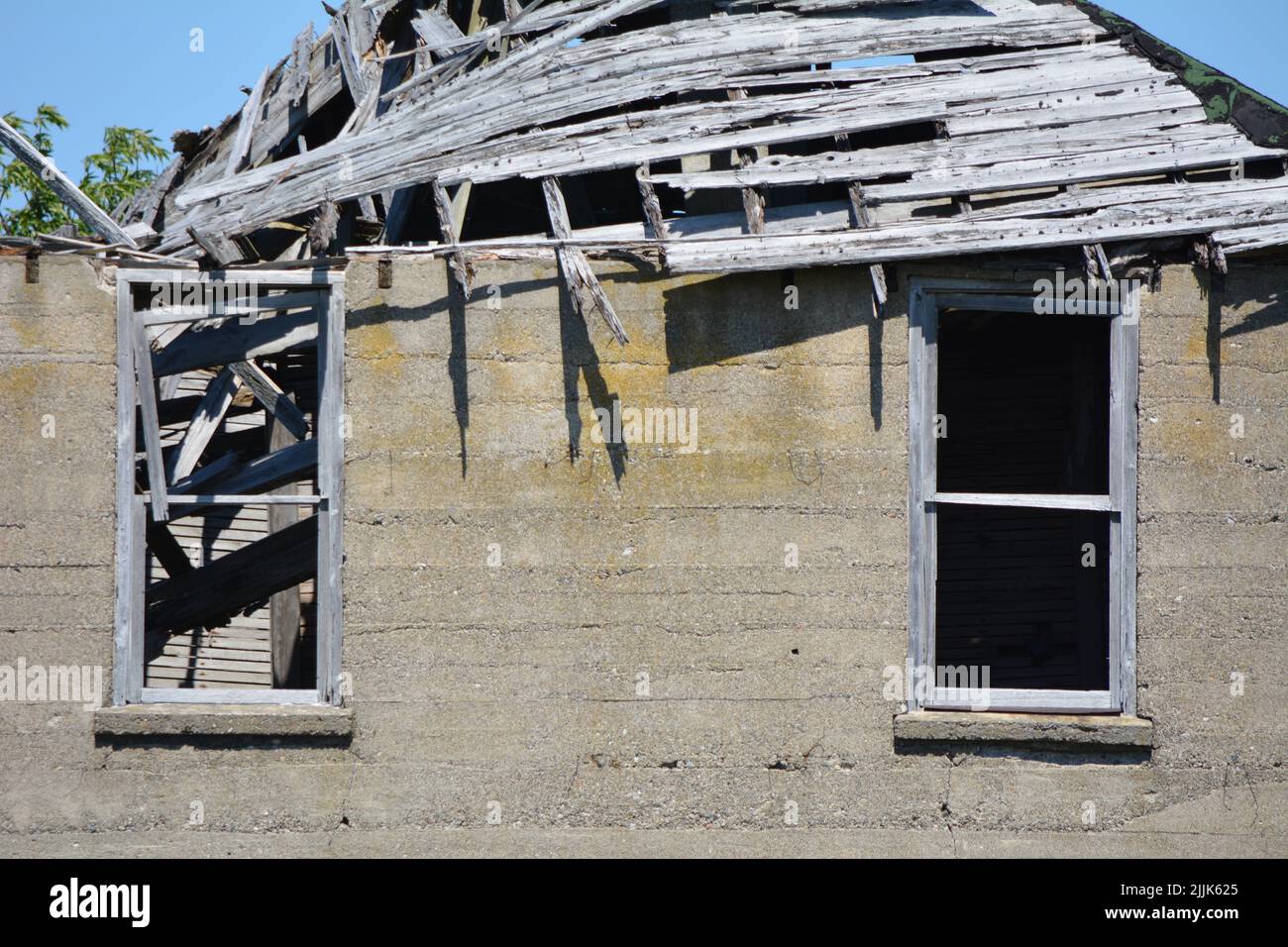 Willow trees near water with low sum behind Stock Photo - Alamy