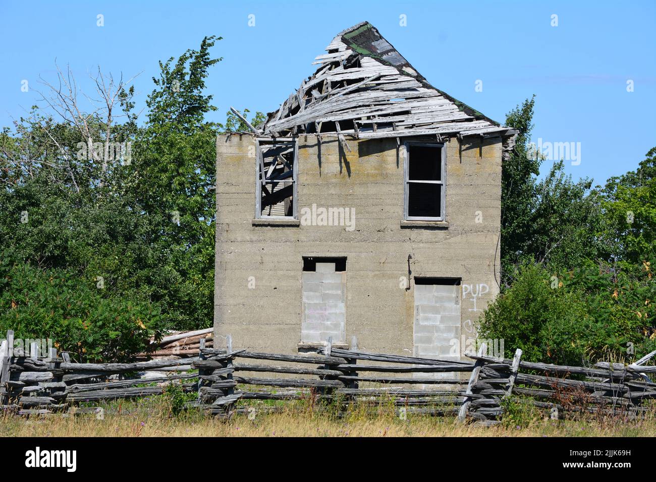 Willow trees near water with low sum behind Stock Photo - Alamy