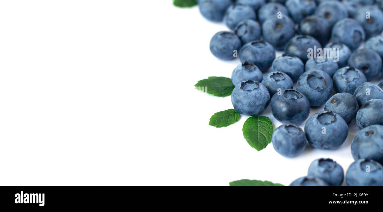 Fresh juicy blueberries with green leaves isolated on white background ...