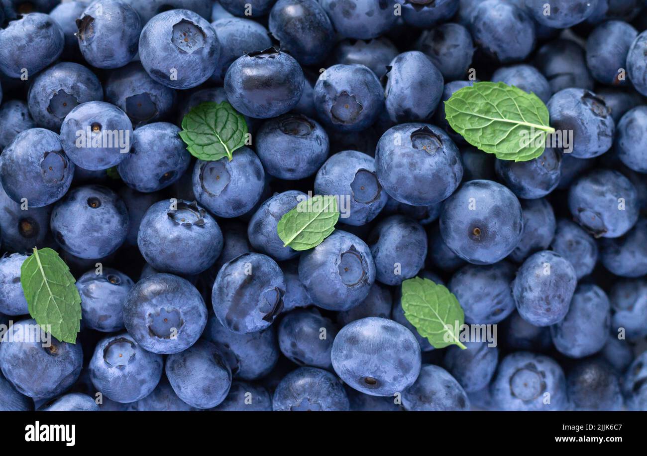 Blueberry or huckleberry background with green leaves. Top view Stock ...