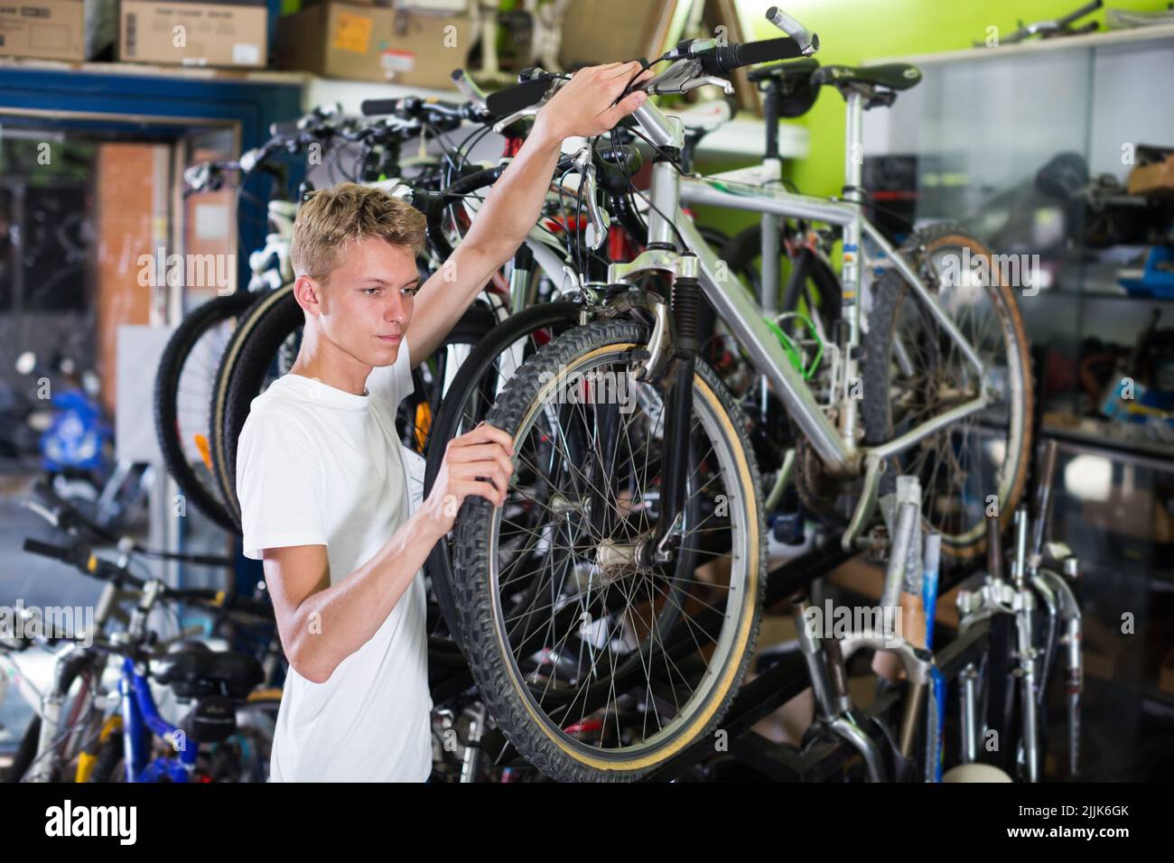 Professional man checking tire on cycle wheel Stock Photo - Alamy