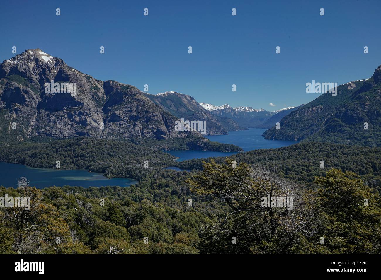 A view of a beautiful landscape with forests and a river in spring or ...